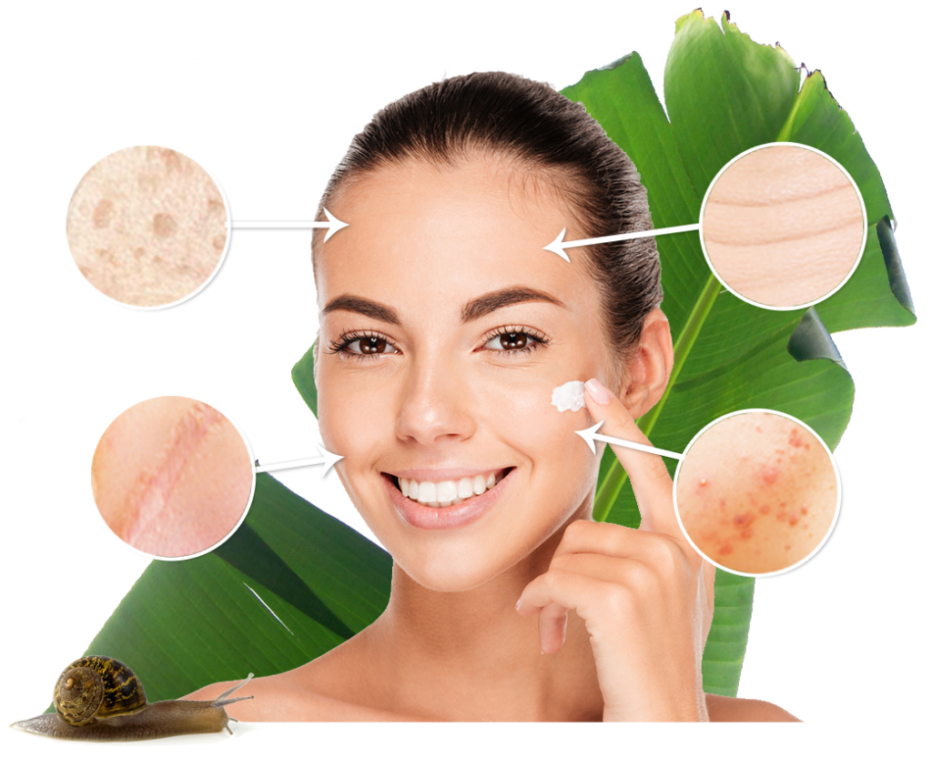 Snail Cream Shop | Buy Snail Cream | Snail Slime Products At Best ...